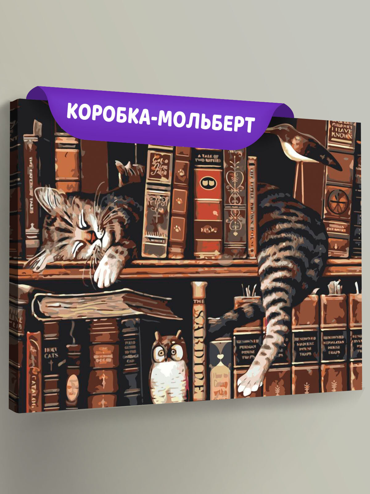 Картина по номерам ЖПН на холсте с подрамником "Серый кот спит на книжной полке" Раскраска 40х50 см