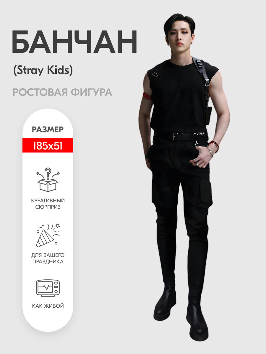 Аксессуар для фотосессий, Indoor-ad, Банчан (Stray Kids) ростовая фигура 1