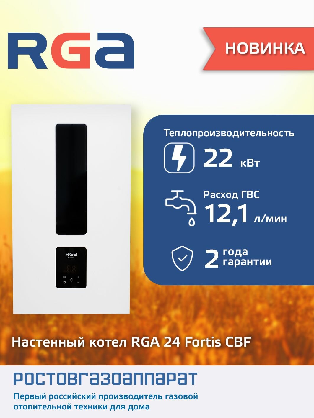 Настенный газовый котёл RGA 24 Fortis CBF