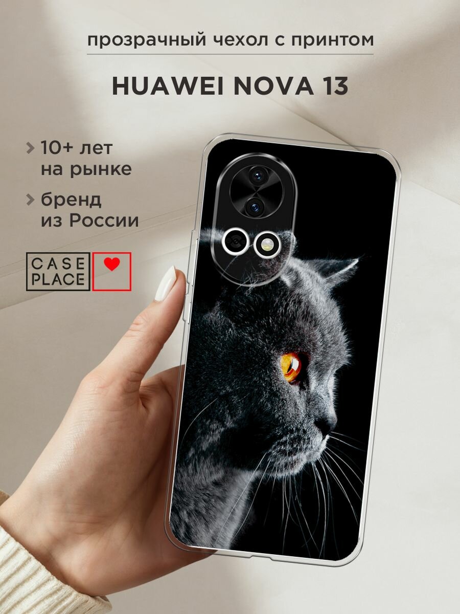Чехол на Huawei Nova 12/Nova13 / Хуавей Нова 12/Нова 13 с принтом "Благородный кот британец"