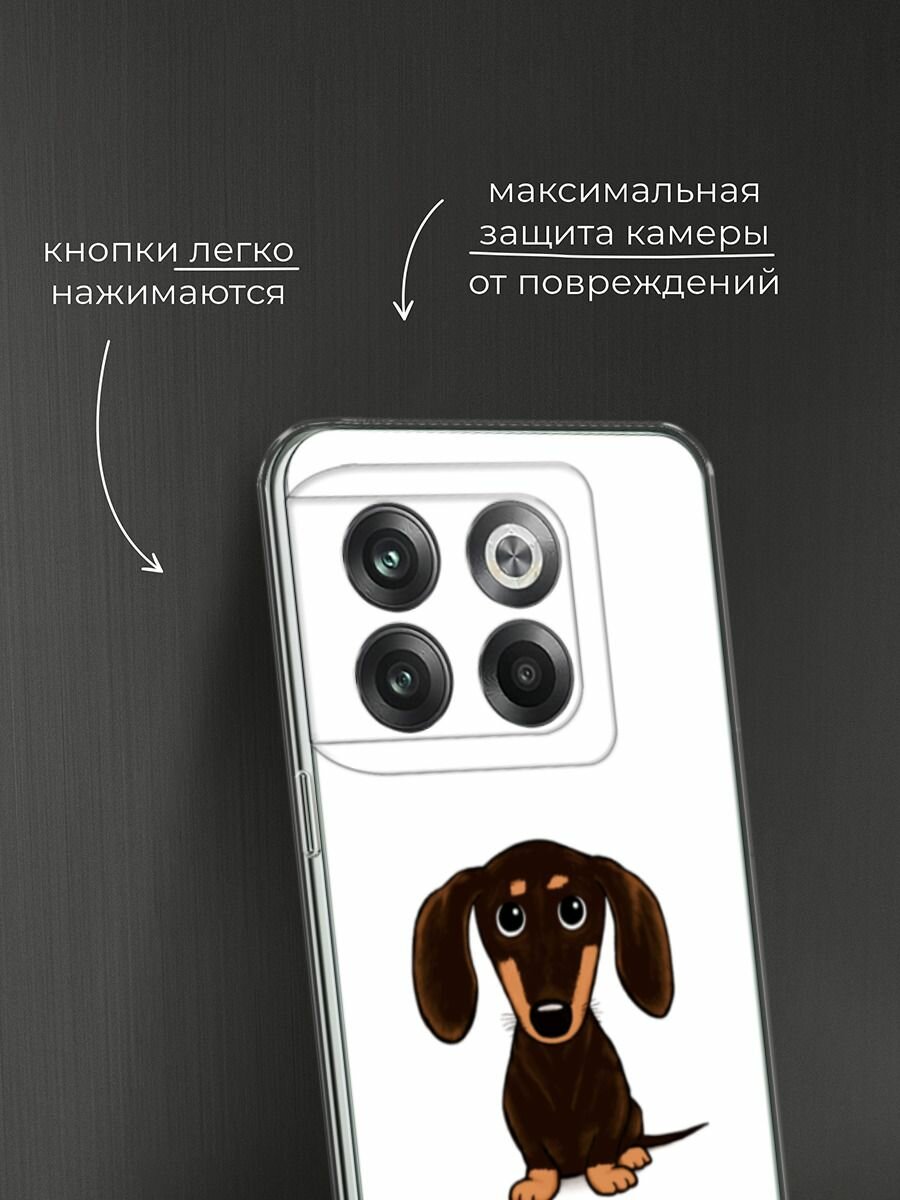 Чехол на OnePlus 10T / Ван плюс 10T с принтом "Маленькая такса" — фото 1