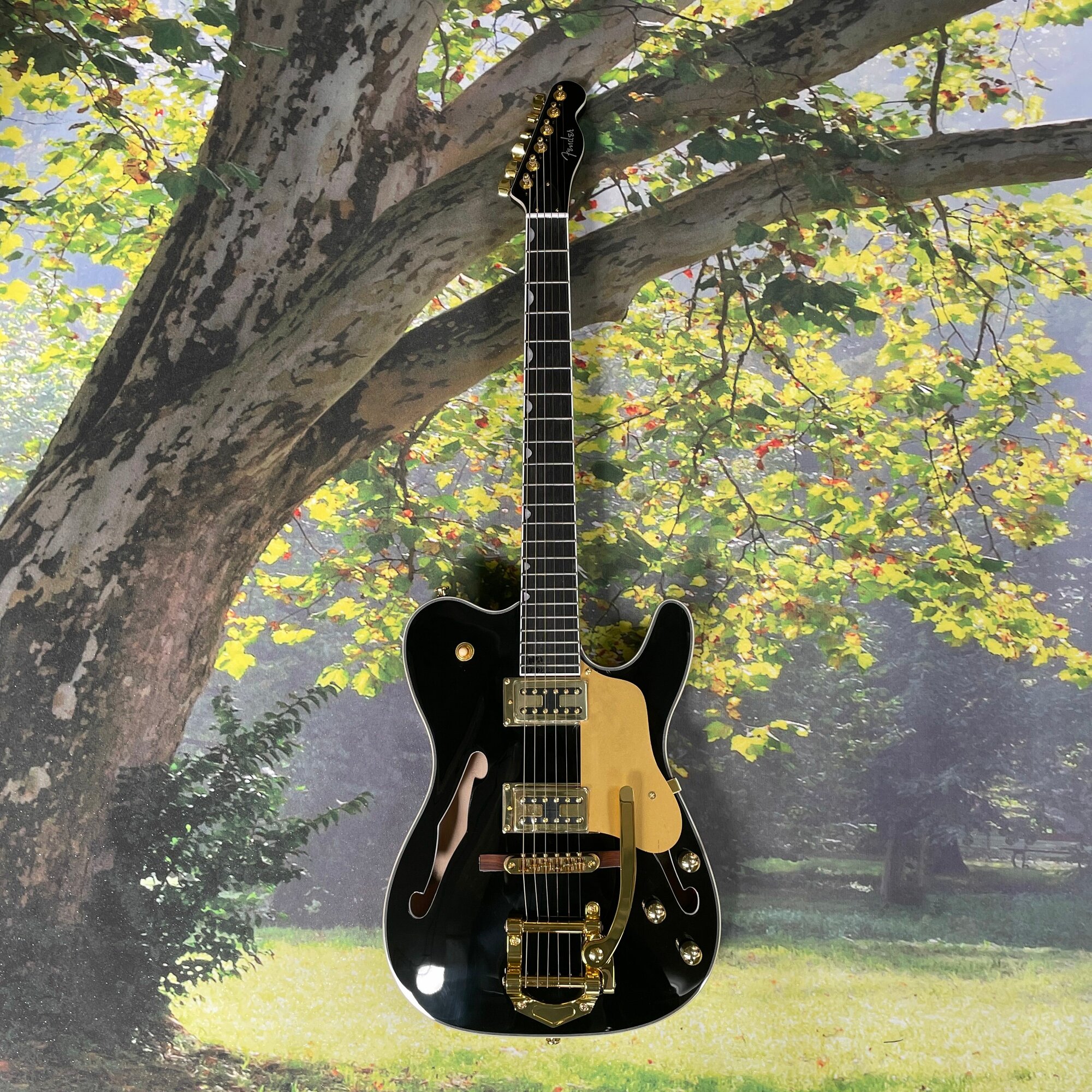 Электрогитара TELE персонализированный 6-струнная