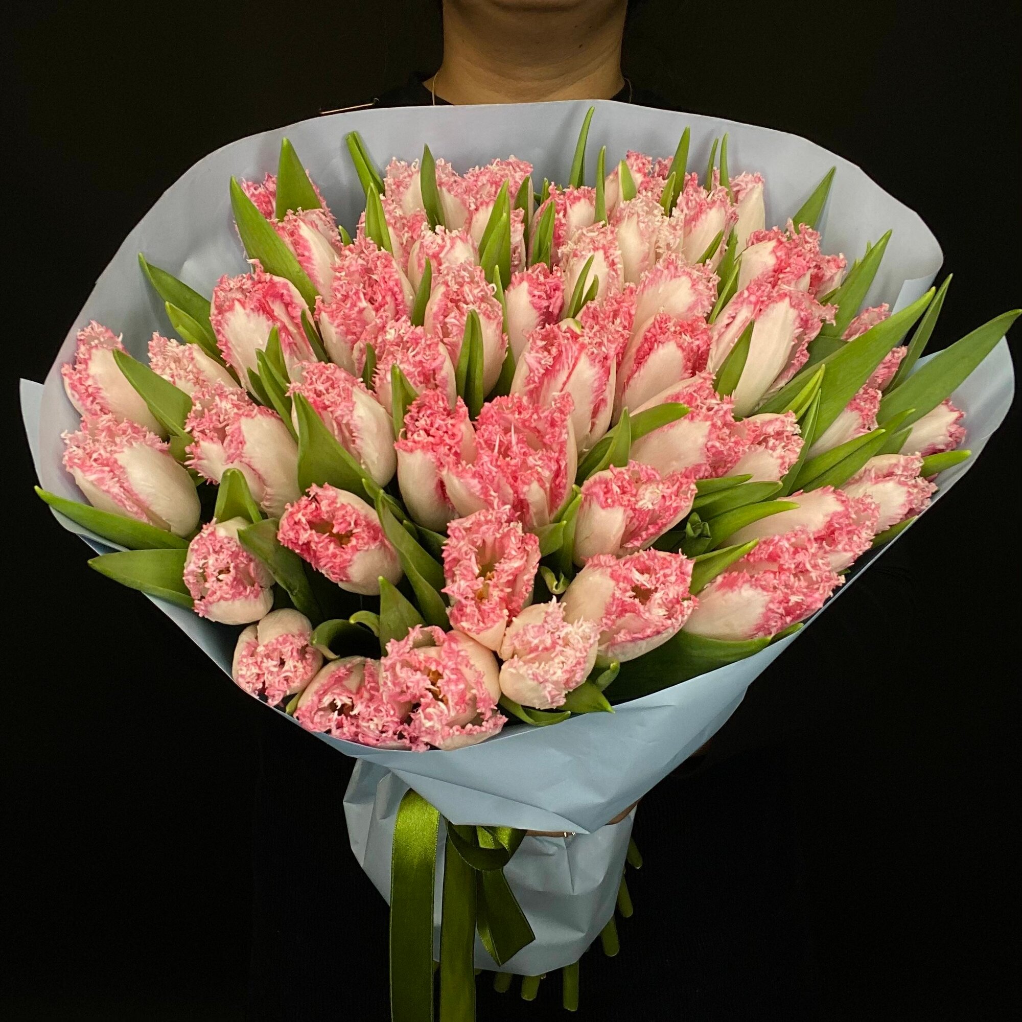 Фиолетовые тюльпаны