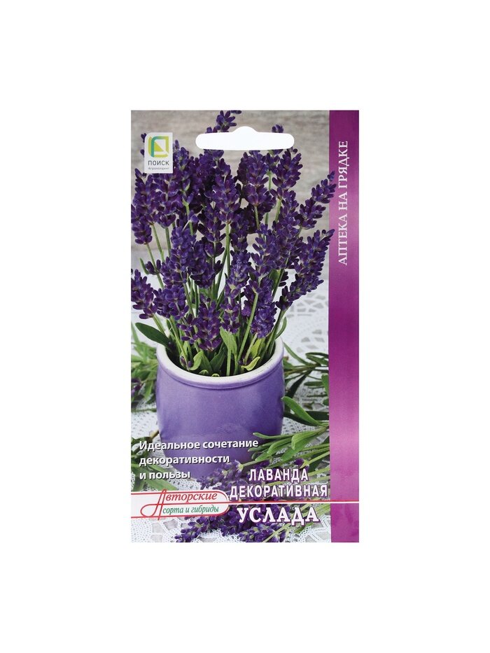 Набор семян Лаванда декоративная "Услада", 5 шт.