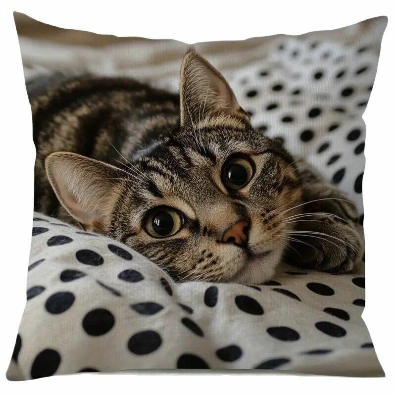 Наволочка с котом 45x45 см, 1 шт