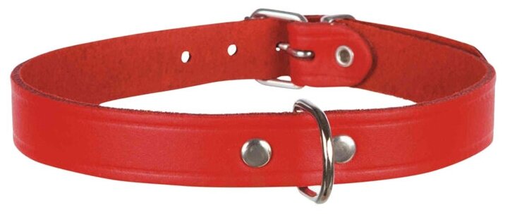 Ошейник Trixie "Basic Collar", для собак, искусственный, кожа, с шипами, красный