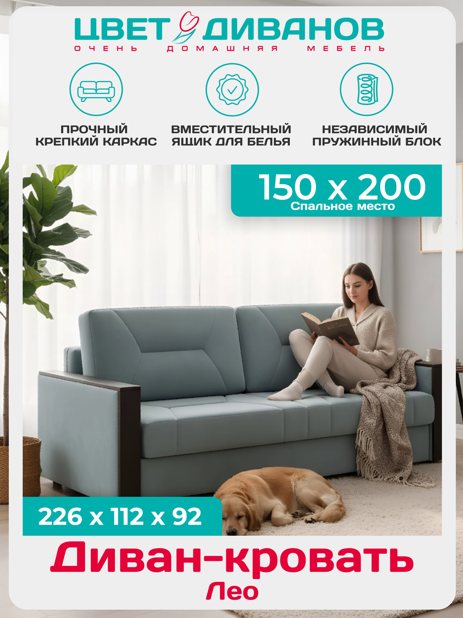 Раскладной диван-кровать прямой двуспальный в гостиную, еврокнижка Лео с ортопедическим матрасом, Цвет Диванов