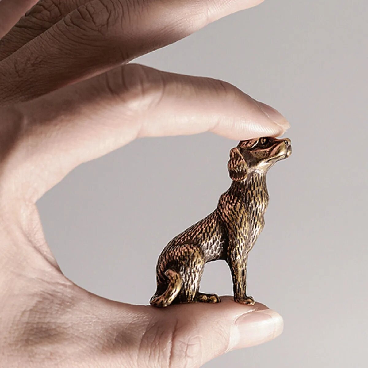 Медная статуэтка собаки, Color: watchdog