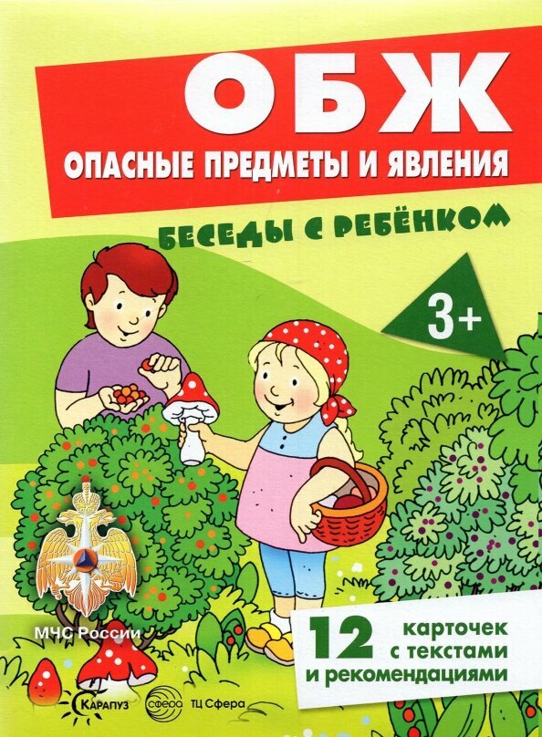 Беседы с ребенком. ОБЖ опасные предметы и явления 3+. 12 картинок с текстом на обороте, в папке, А5.