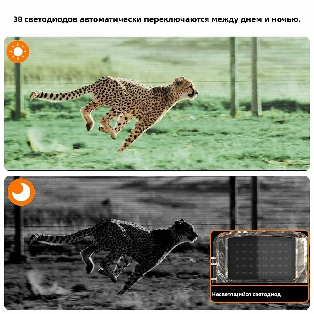 Фотоловушка — фото 1