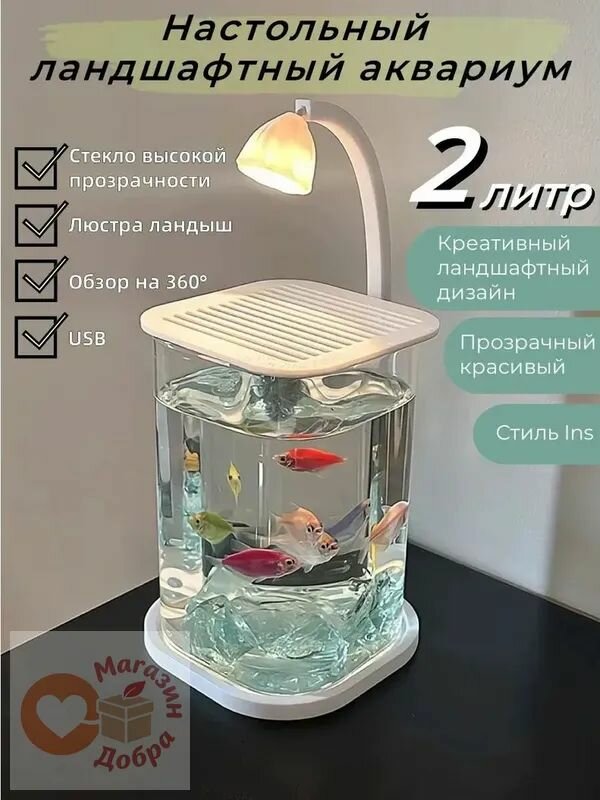 Аквариум