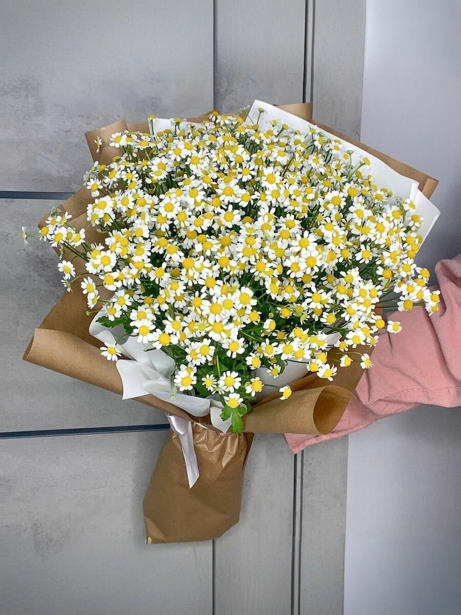 Полевой букет из 25 ромашек
