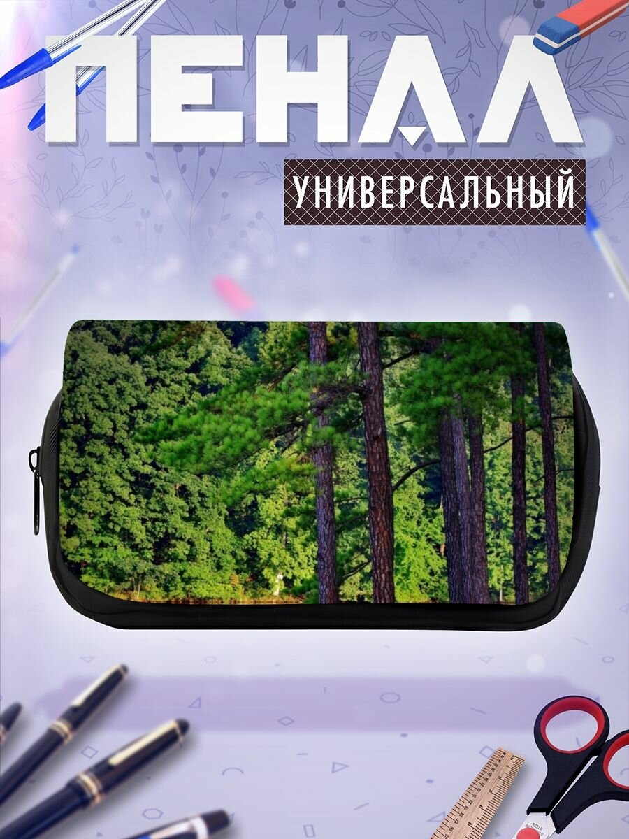 Школьный пенал лес природа