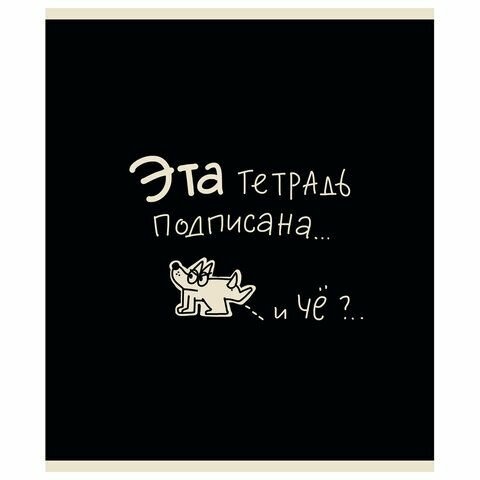 20 шт. Тетрадь А5 48 л. Пзбм, скоба, клетка, матовая ламинация, брайль, "Тетрадь подписана" (микс в ПУ), 23447