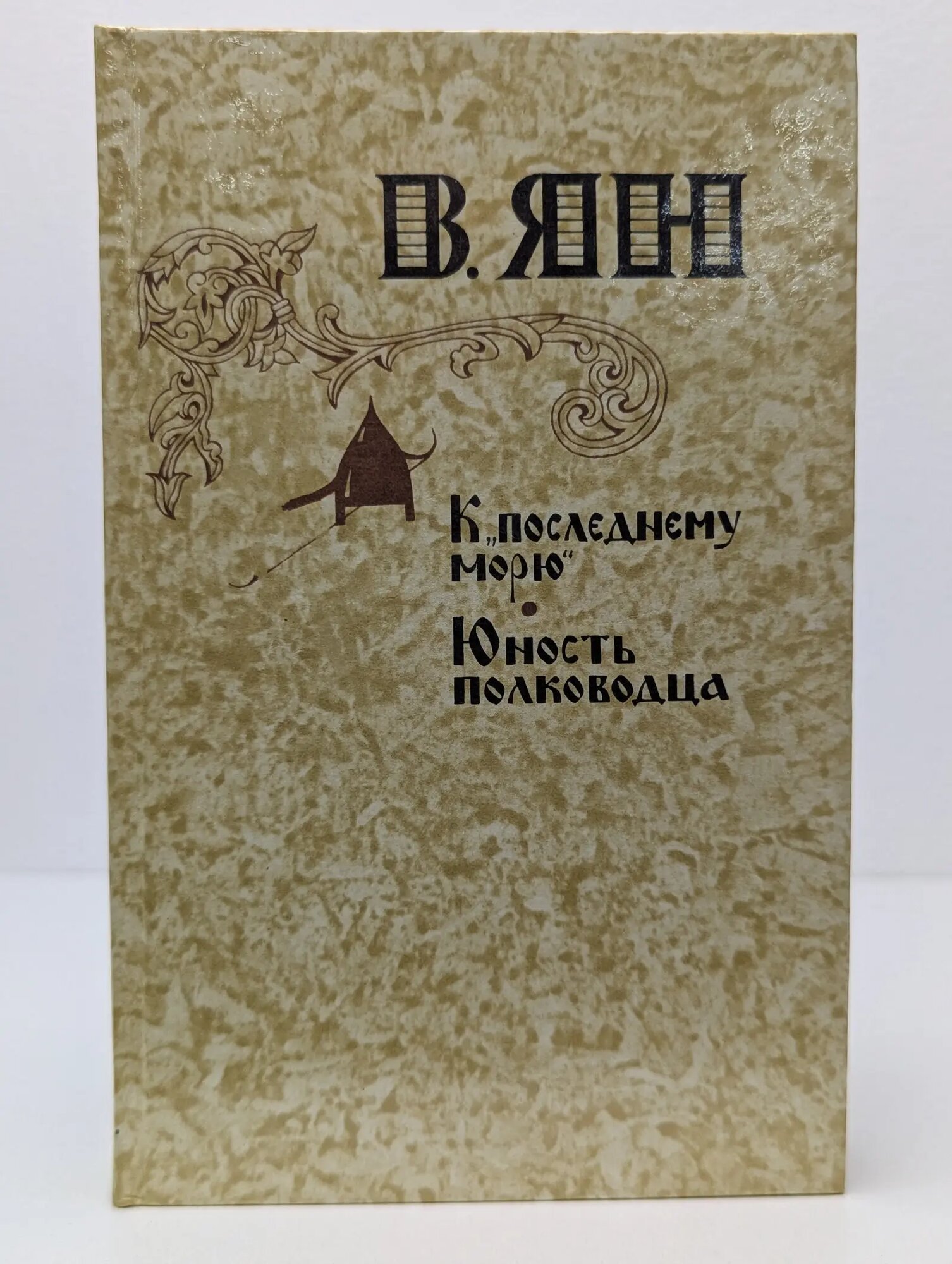 К последнему морю. Юность полководца Василий Ян Григорьевич 1981