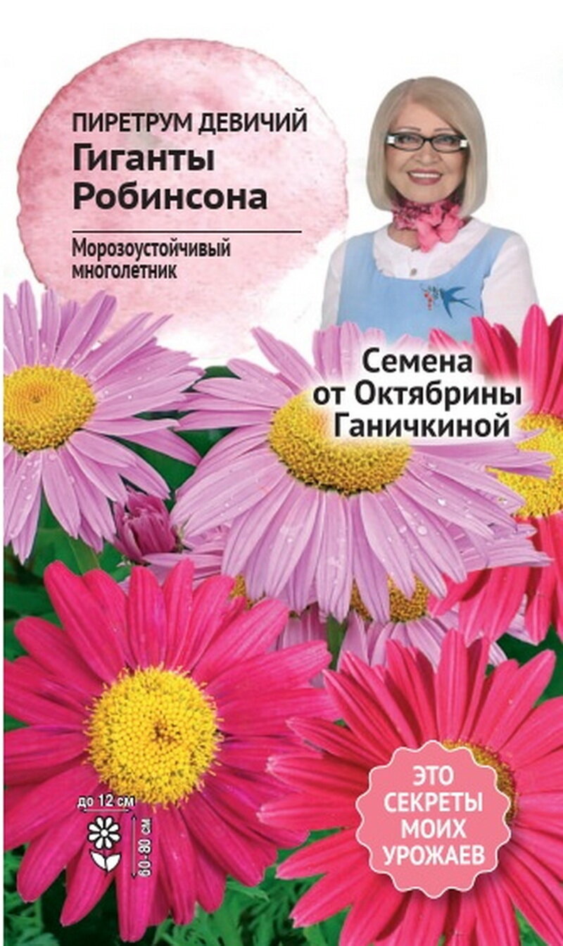 Семена цветов Семена от октябрины ганичкиной пиретрум девичий Гиганты Робинсона, для дачи, сада, огорода и на рассаду