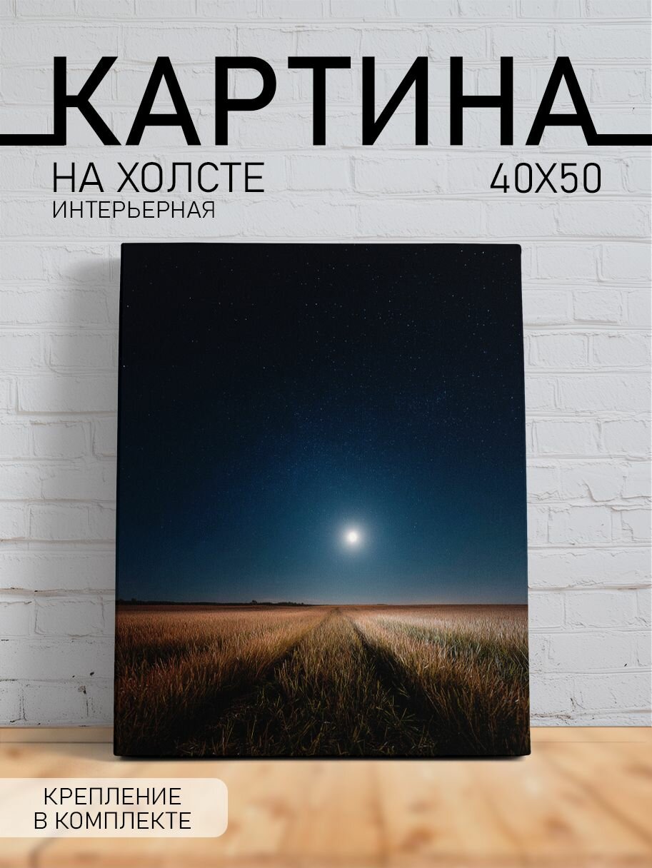 Картина на стену для интерьера на холсте с подрамником "Звездное небо. Звездопад. Луна ", 40х50 см