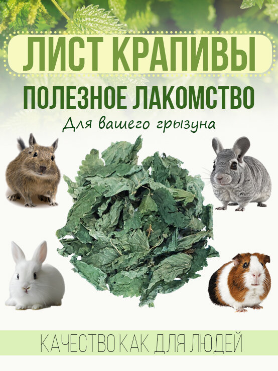 Листья Крапивы сушеная для грызунов/ Лакомство для шиншилл, кроликов, морских свинок и дегу, 50г