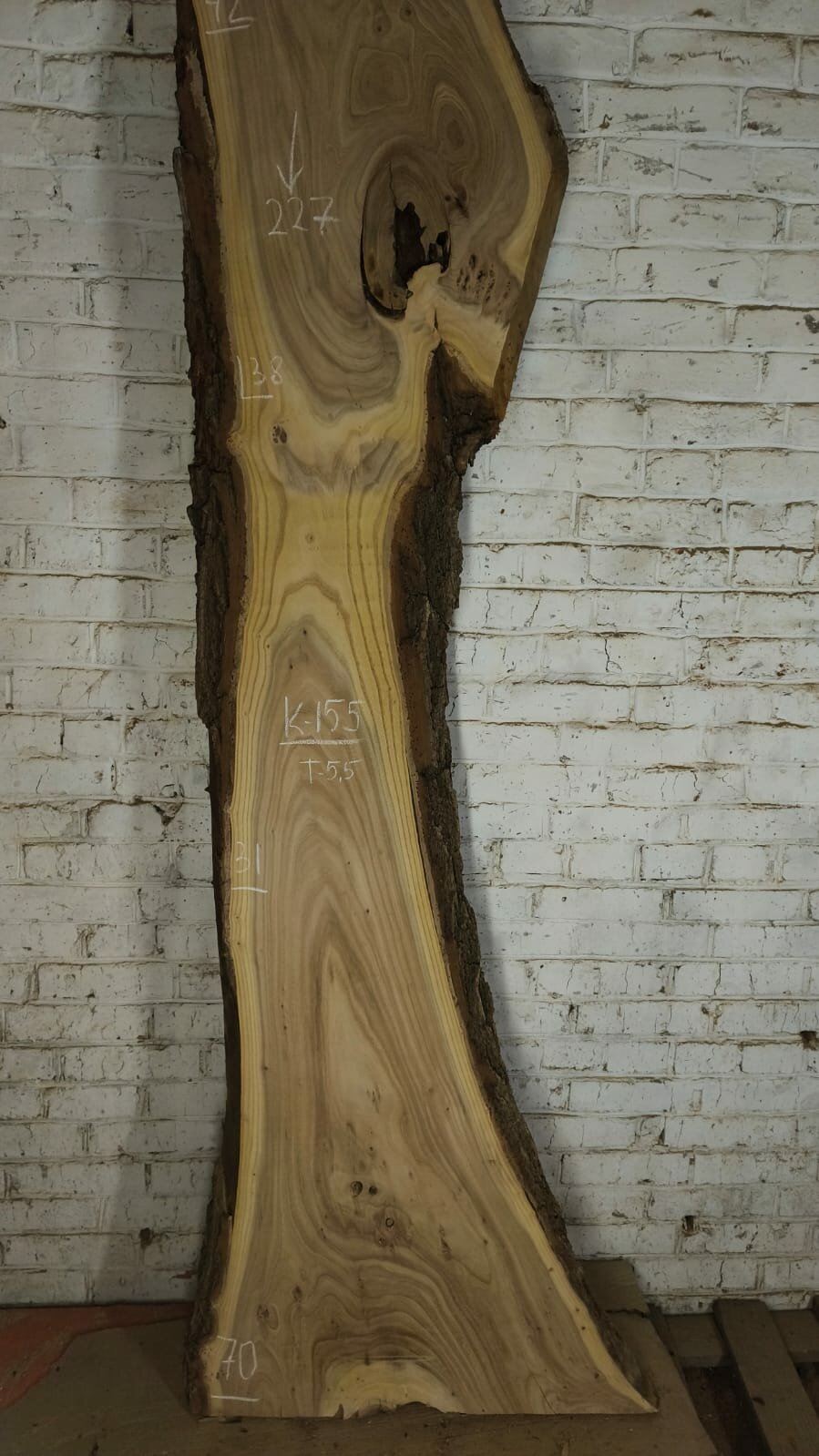 Слэб дерева Карагач К155, выровнен в плоскости, влажность 8-10%