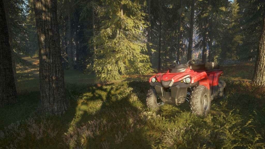 TheHunter: Call of the Wild - ATV Saber 4X4 DLC Steam Ключ • Активация Steam