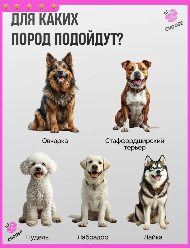 Обувь для собак -L — фото 1