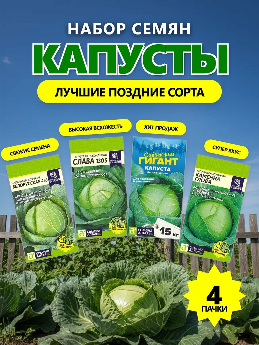 Набор семян поздний белокочанной капусты, 4 сорта, от Семена Алтая