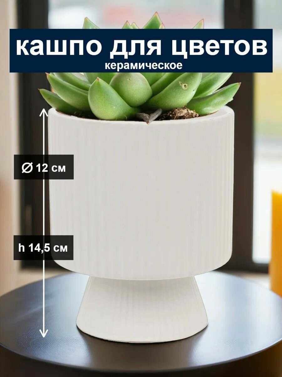 Горшок кашпо для цветов кактусов суккулентов маленькое