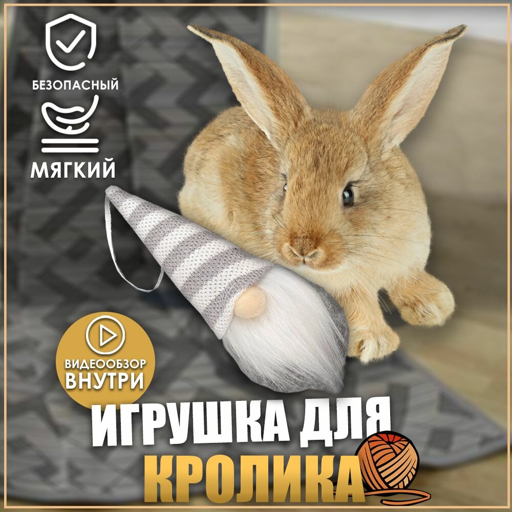 Игрушка для кролика гномик
