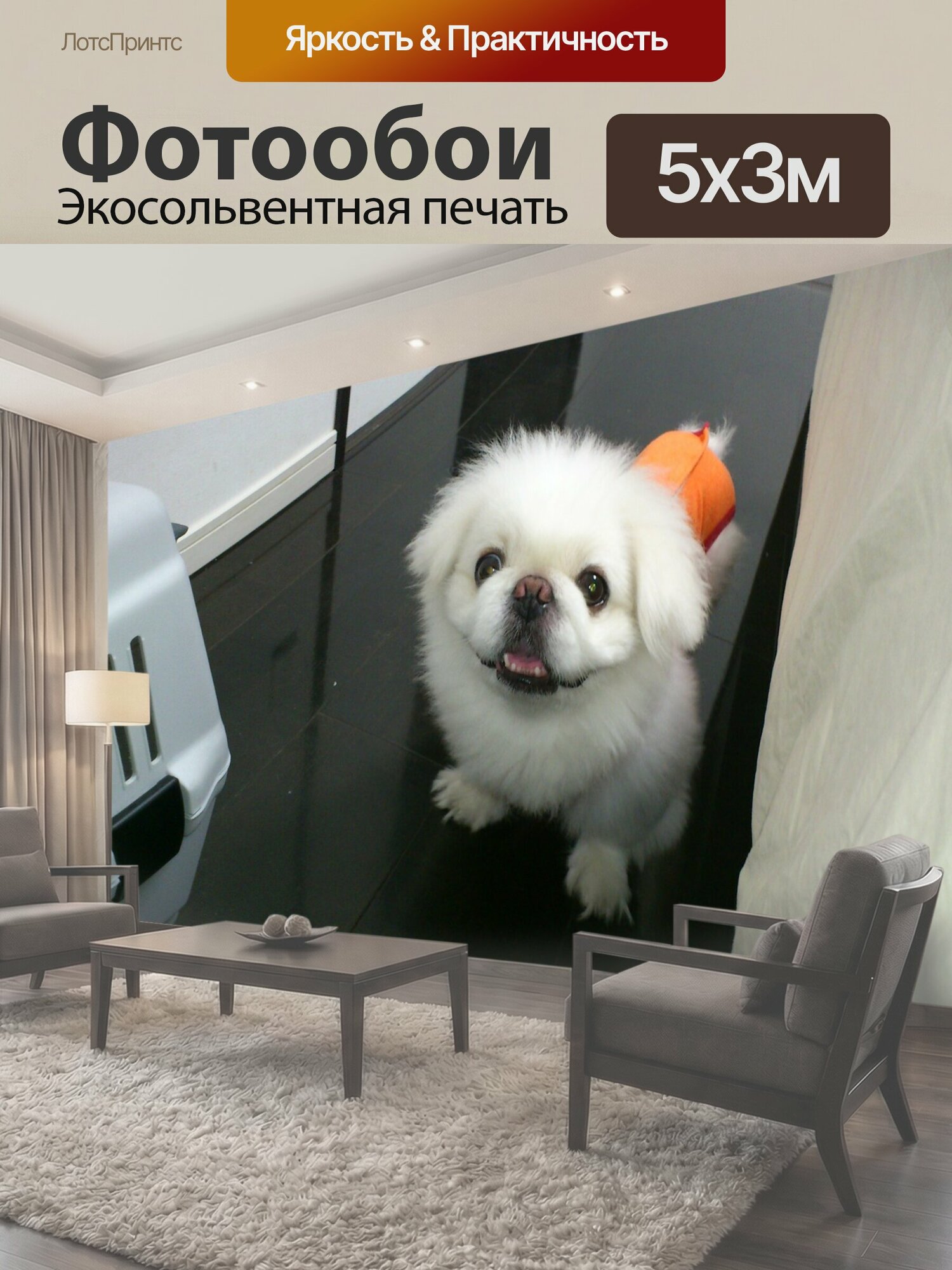 Фотообои "Собака, лев мару, пекинес" 500x300 см. экосольвентная печать