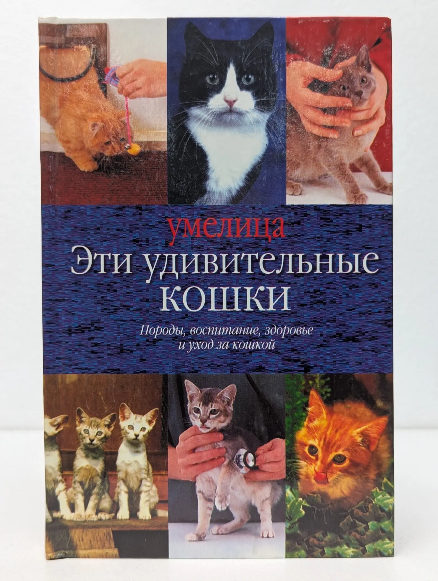 Эти удивительные кошки 2002