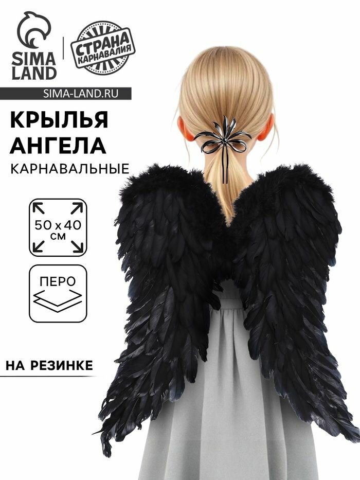 Карнавальные крылья КНР "Ангел", на резинке, 50х40 см, чёрные