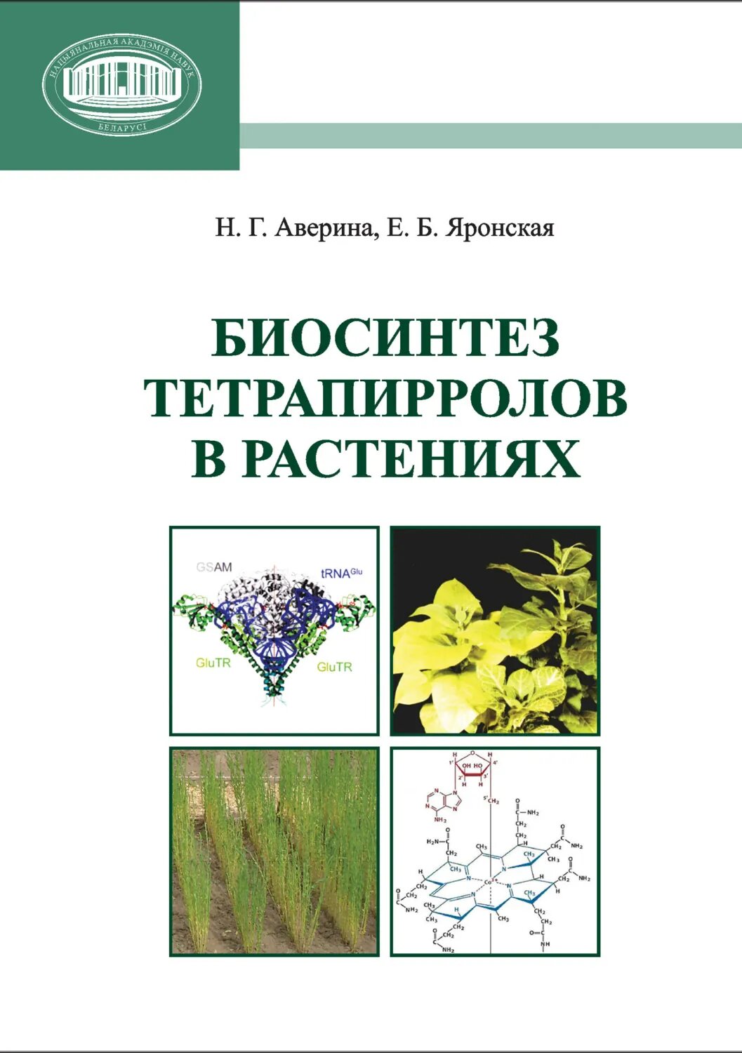 Биосинтез тетрапирролов в растениях [Цифровая книга]