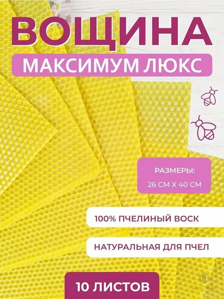 Пчелиная подложка 10