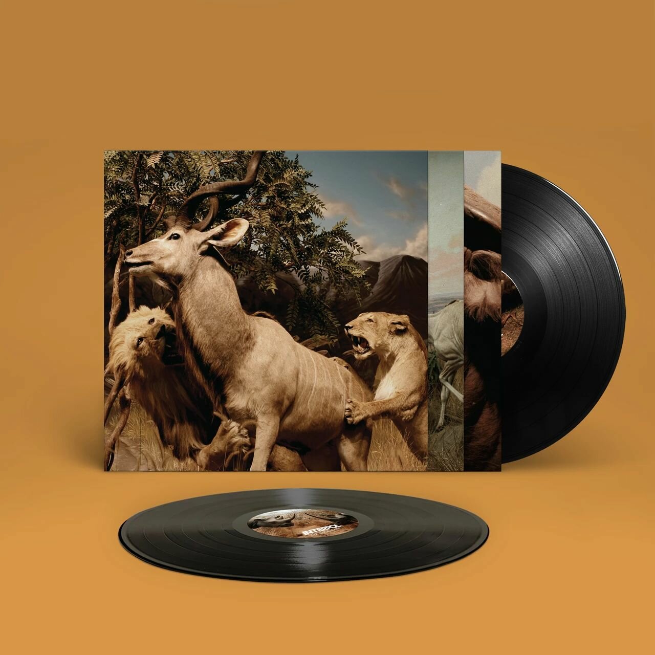 Interpol. Our Love To Admire (2LP Gatefold/Black Vinyl/Виниловая пластинка)