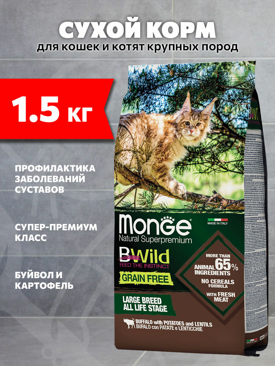 Корм сухой Monge Bwild Grain Free Cat Large Breed Buffalo беззерновой для кошек и котят крупных пород, буйвол, картофель, 1,5 кг