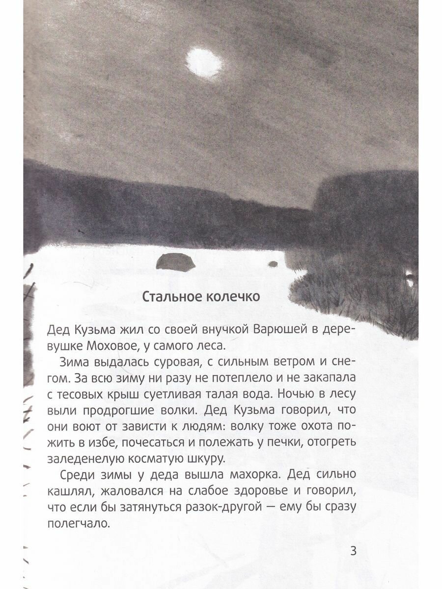 Стальное колечко — фото 1