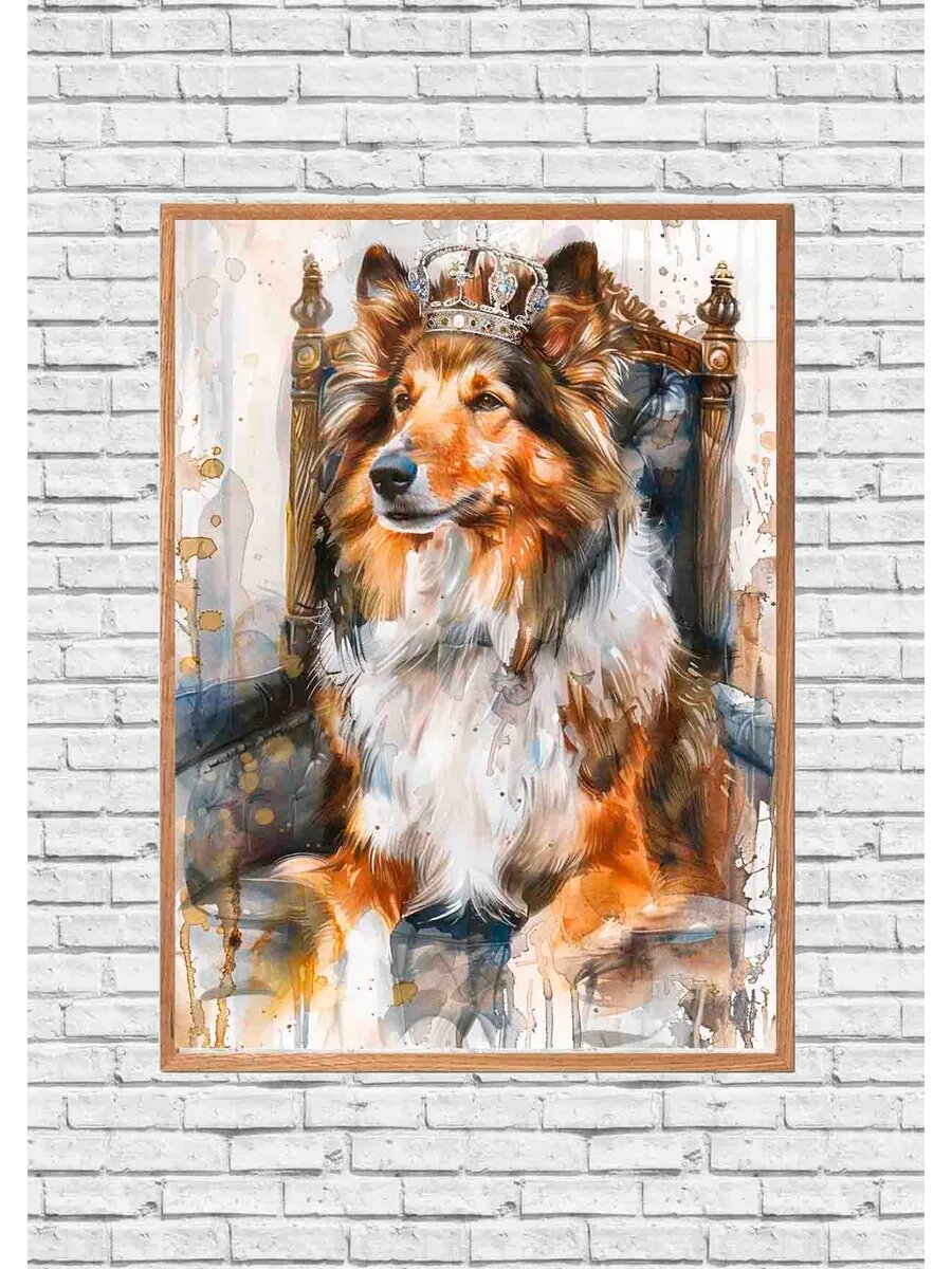 Шотландская колли, Английская королева 0, Плакат 30x42см