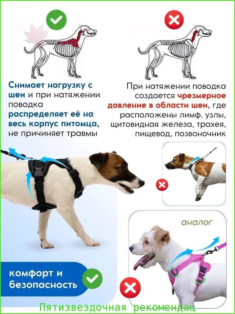Шлейка для собак и кошек, анатомическая, прогулочная, сиреневая, размеры XS-XXL, обхват груди 24-62 см, с поводком 1.5м — фото 1