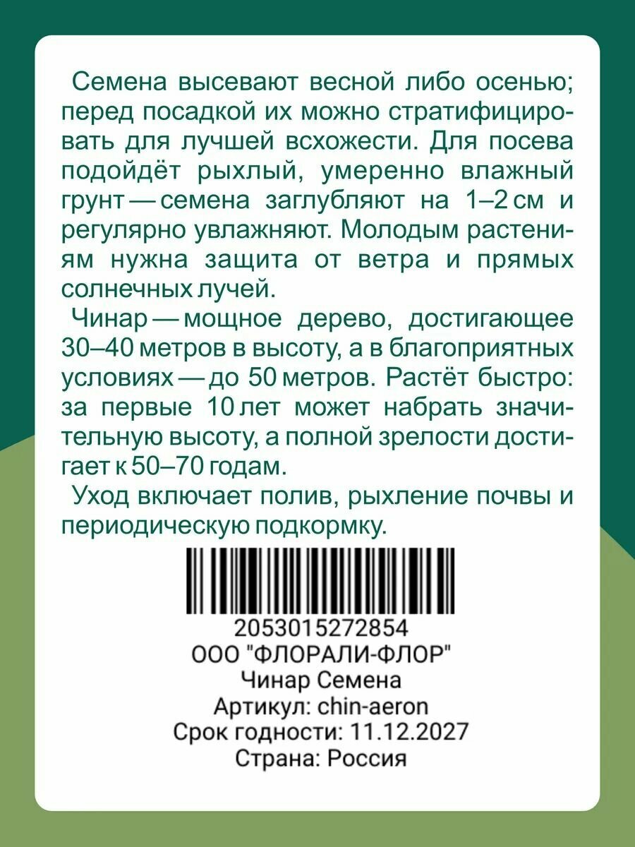 Чинар Семена — фото 1