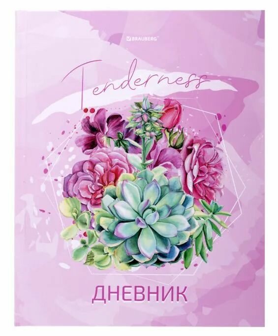 Дневник 5-11 класс 48л, твердый, глянцевая ламинация, с подсказом, Кактусы