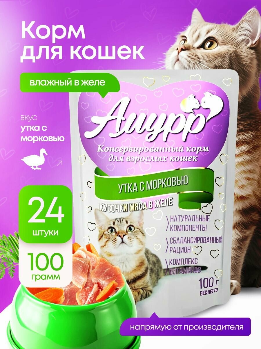 Корм для кошек влажный Амурр , полнорационный Утка с морковью в желе, 24 шт по 100 гр.