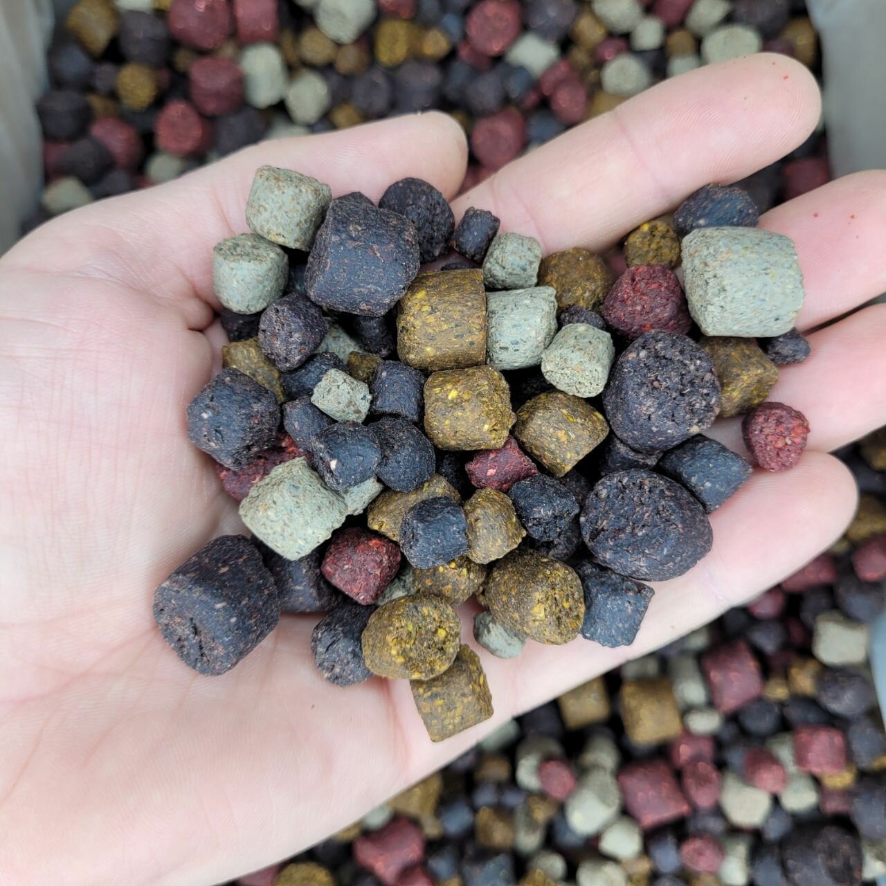 Пеллетс карповый прикормочный Plym Royal Королевская слива 4 цвета микс от 5 до 15 мм 1кг