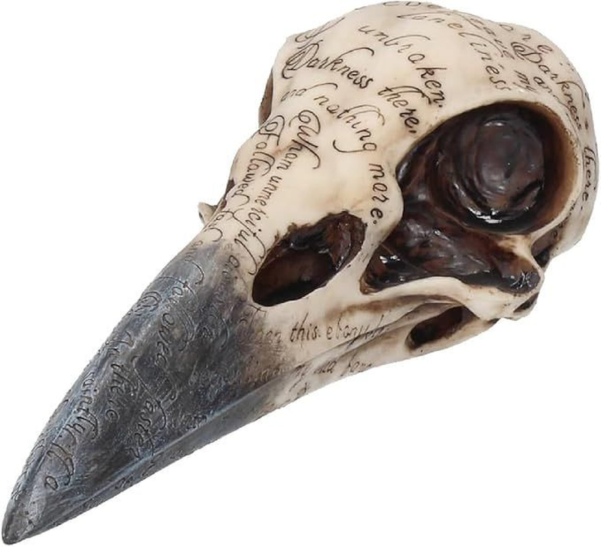 Статуэтка Nemesis Now - Edgar's Raven Skull - Фигурка черепа ворона Эдгара , 21 х 7.5 см, бежевый, 801269104849