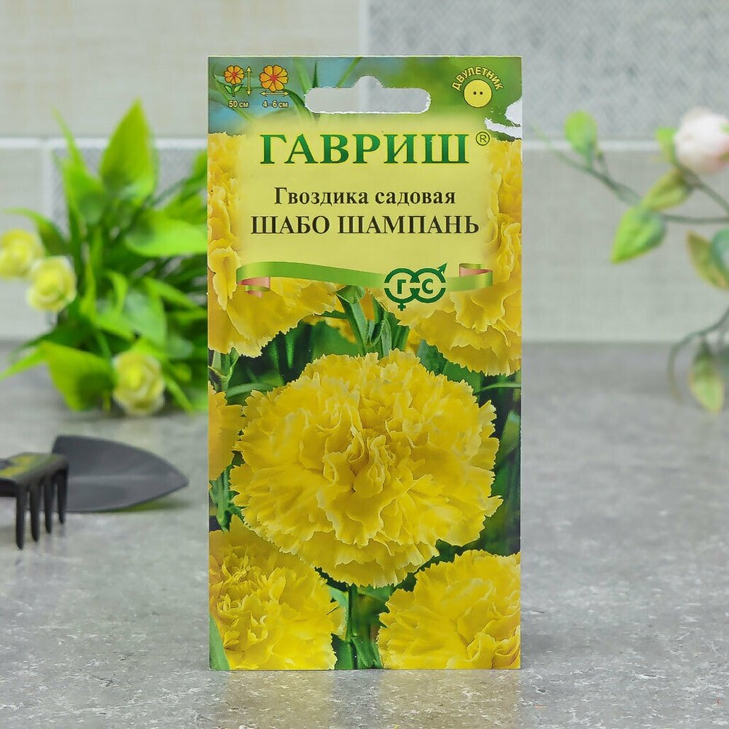 Семена гвоздики садовой Шабо "Шампань" 10шт, махровые жёлтые цветы, 50см
