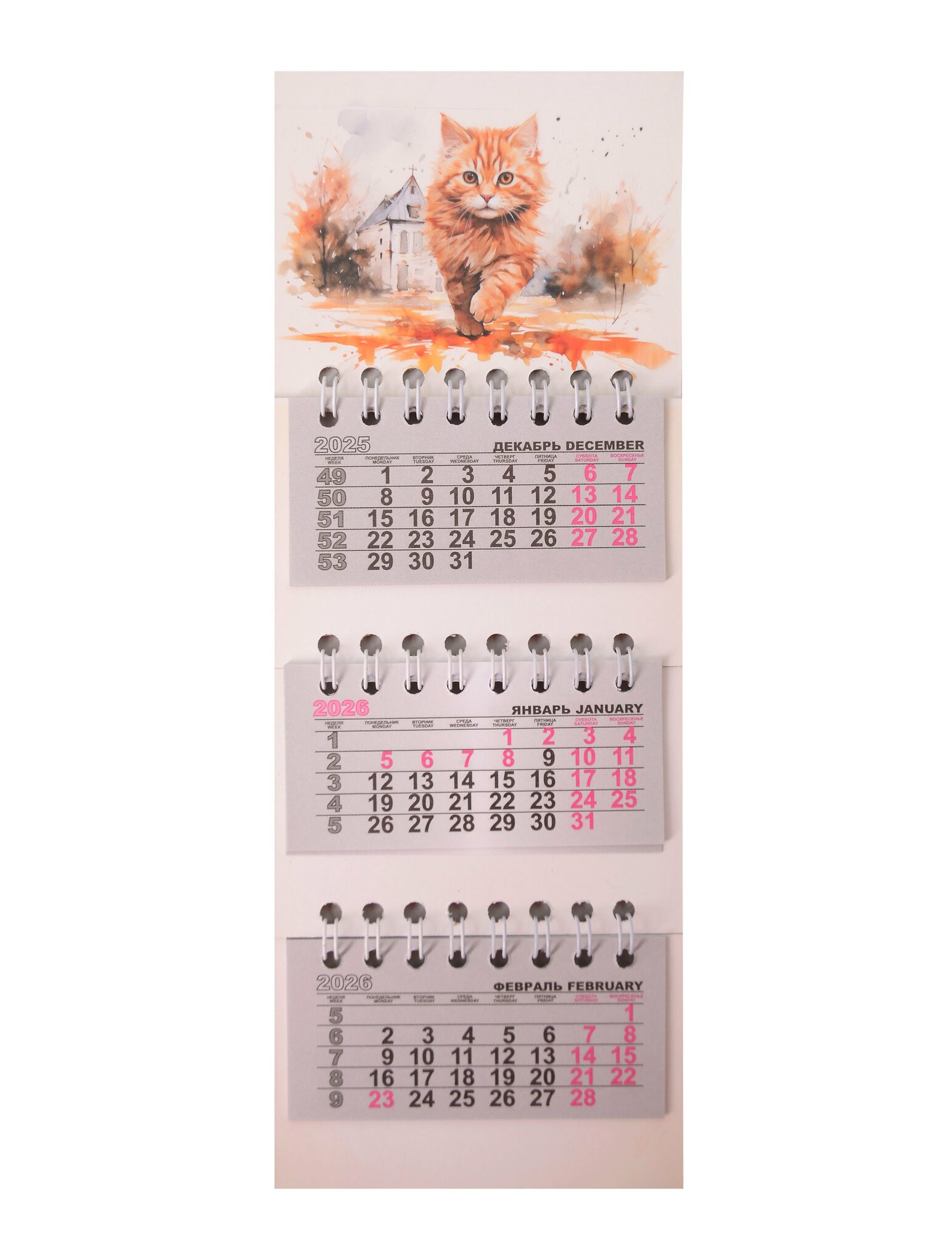 Календарь квартальный 2026г 82*230 "Котейка. аква" на магните