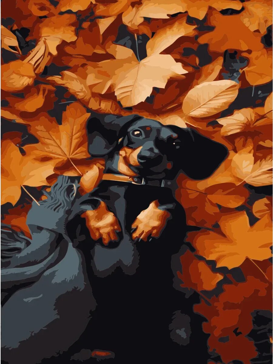 Картина по номерам такса