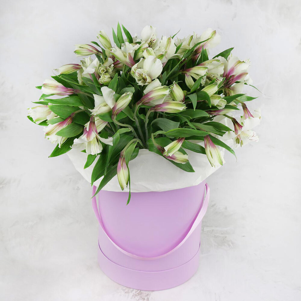 Букет из альстромерии, 15 шт, в шляпной коробке, 45 см, белый