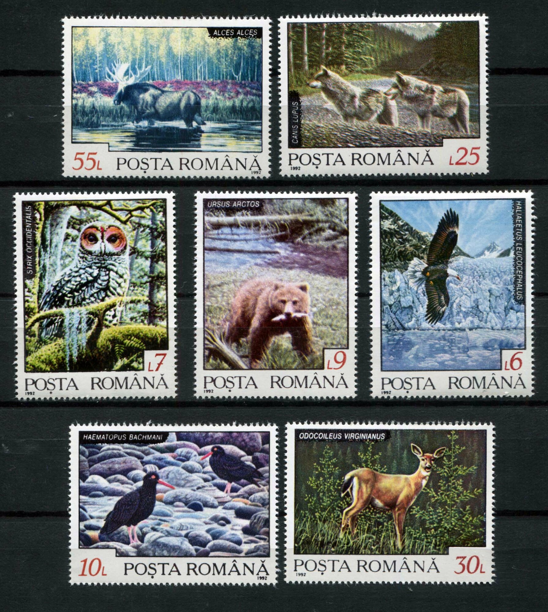 Румыния 1992 г. Фауна. Серия из 7 марок. Негашеная