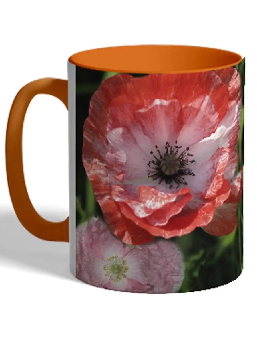 Кружка керамическая с принтом Маки, подарочная, объем 330 мл