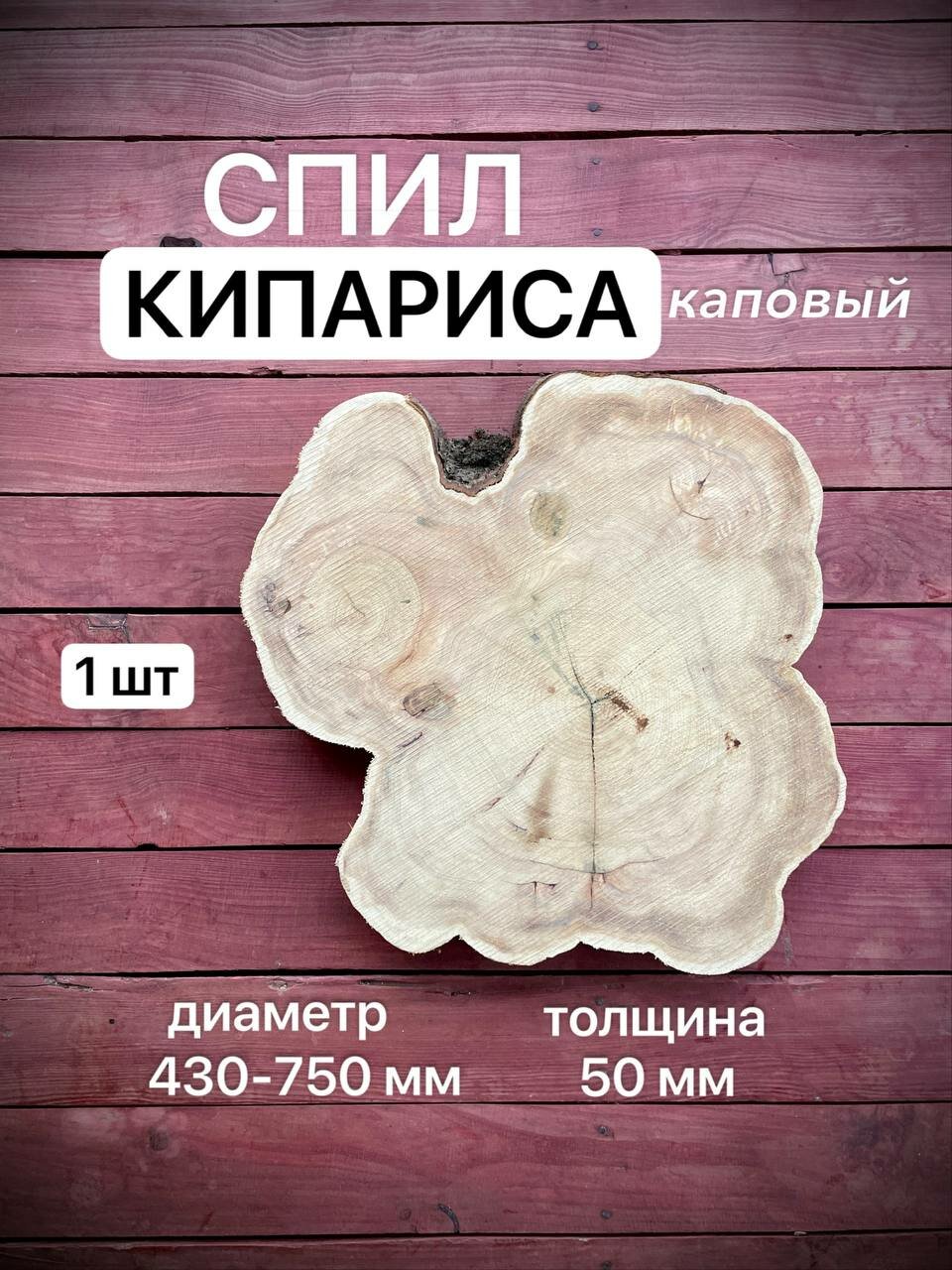 Спил дерева Кипарис каповый, диаметр 43-75 см, толщина 5 см, 1шт